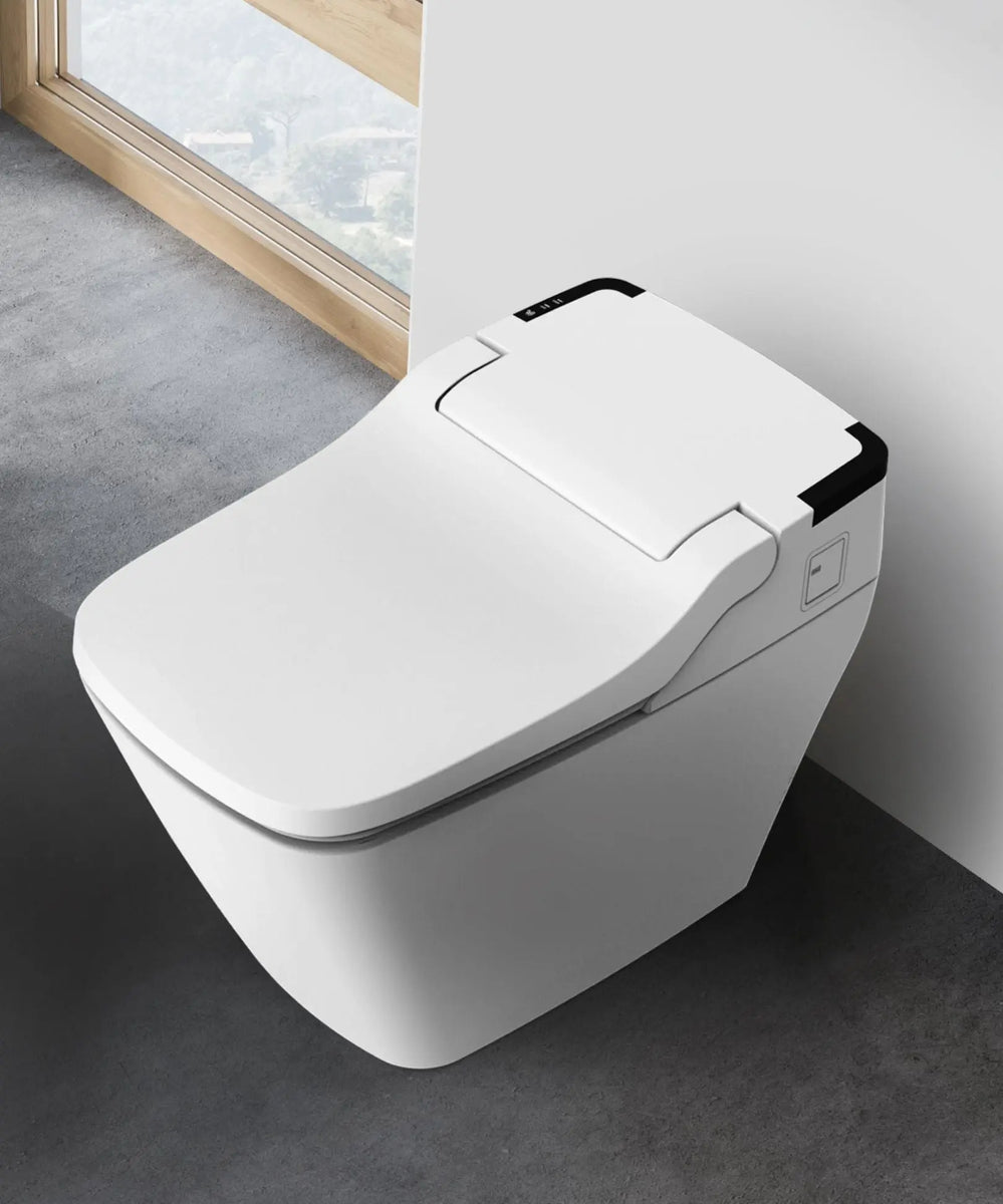 Wie man einen Bidet benutzt? Teil 3: Bidet-Toilette - VOVO EU